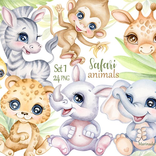 Safari Party Baby Animals Clipart Jungle Watercolor Tiger - Etsy