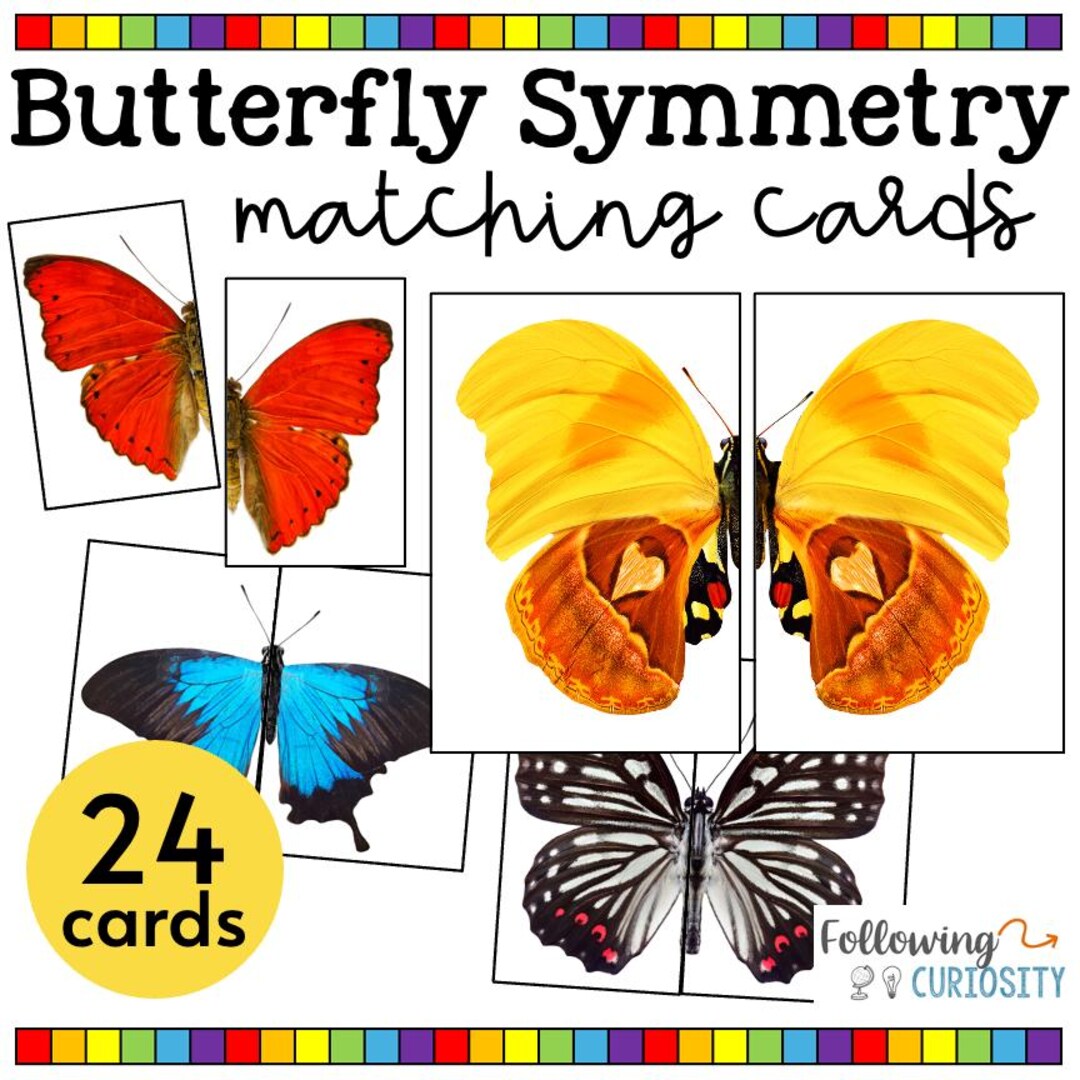 Butterfly Symmetry Matching Game: Preschool Montessori Activity (PDF ...