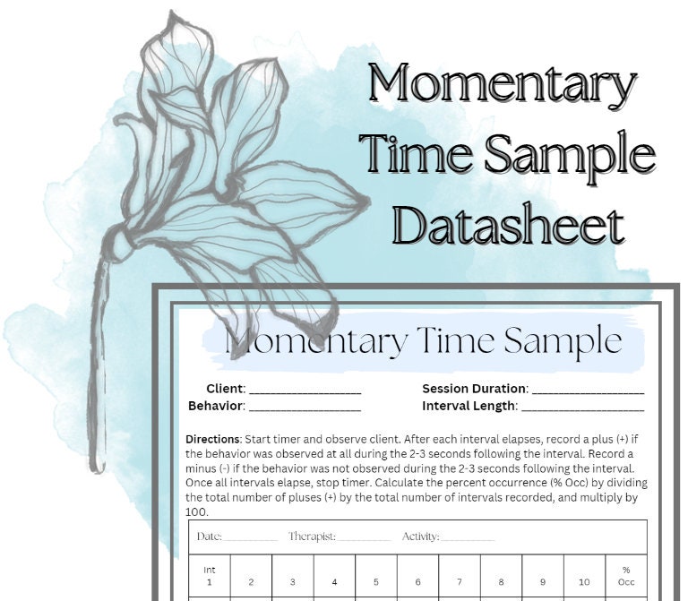 Momentary Time Sample Datasheet for Bcbas Special Educators - Etsy