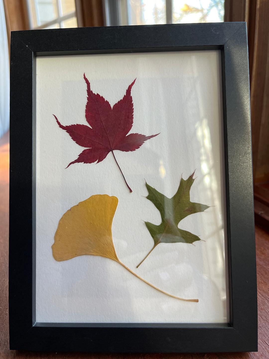 Pressed Maple Leaves in Picture Frame- Decoration/gift - Etsy