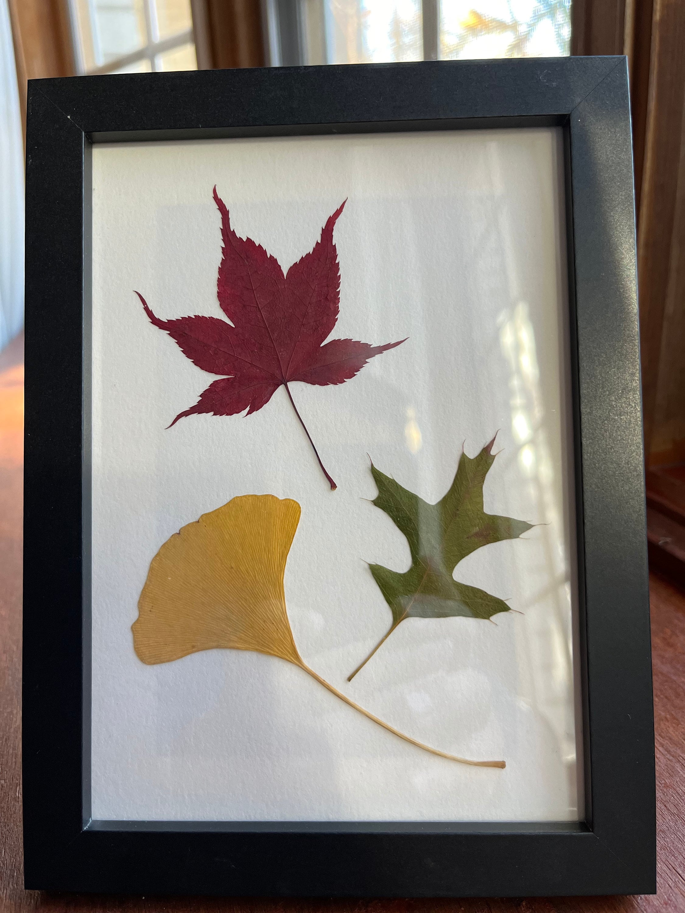 Framed leaves store