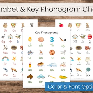Montessori Alphabet and Key Phonogram Charts - Red, Blue, & Green ...