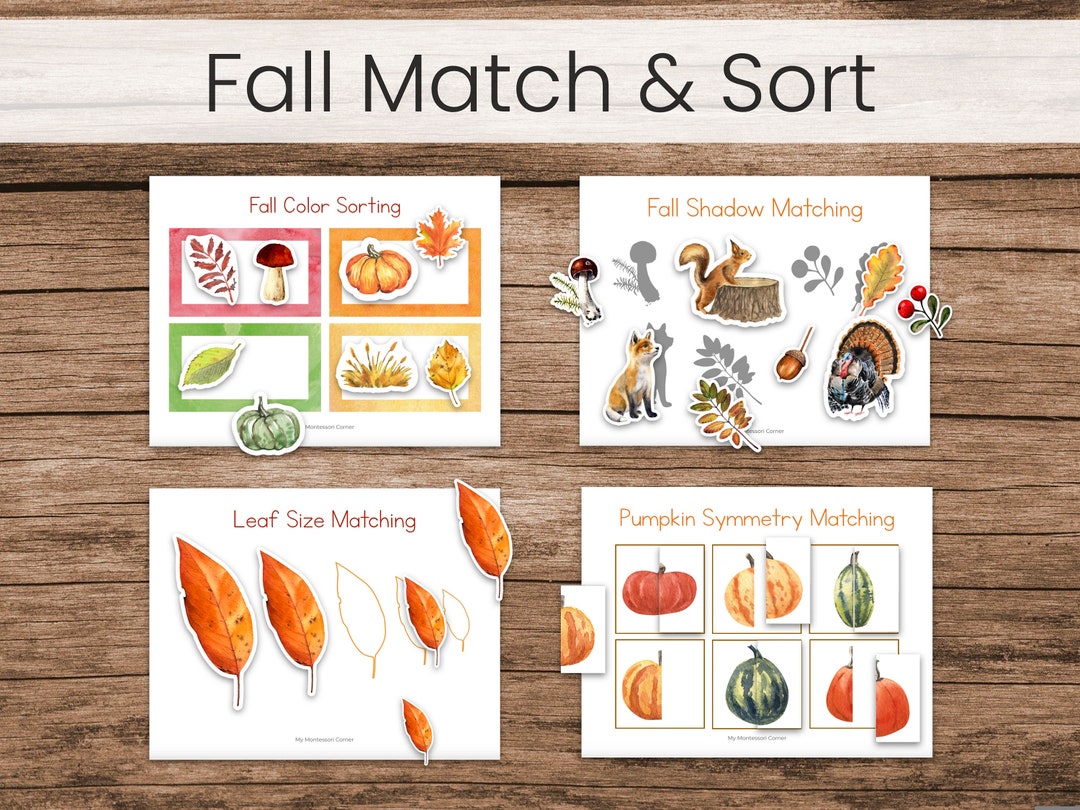 Fall Matching and Sorting Activities (autumn Montessori Preschool ...