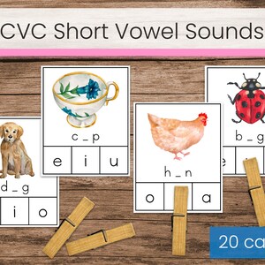 CVC Vowel Sounds Clip Cards (montessori Pink Series Phonics Printable ...