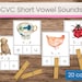 CVC Vowel Sounds Clip Cards (montessori Pink Series Phonics Printable ...