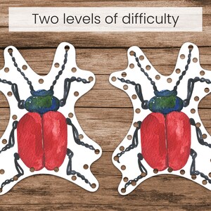 Beetle Lacing Cards, Watercolor (insects Fine Motor Activity Printable ...