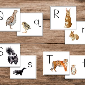 Uppercase-lowercase Alphabet Matching Cards, Mother and Baby Animals ...