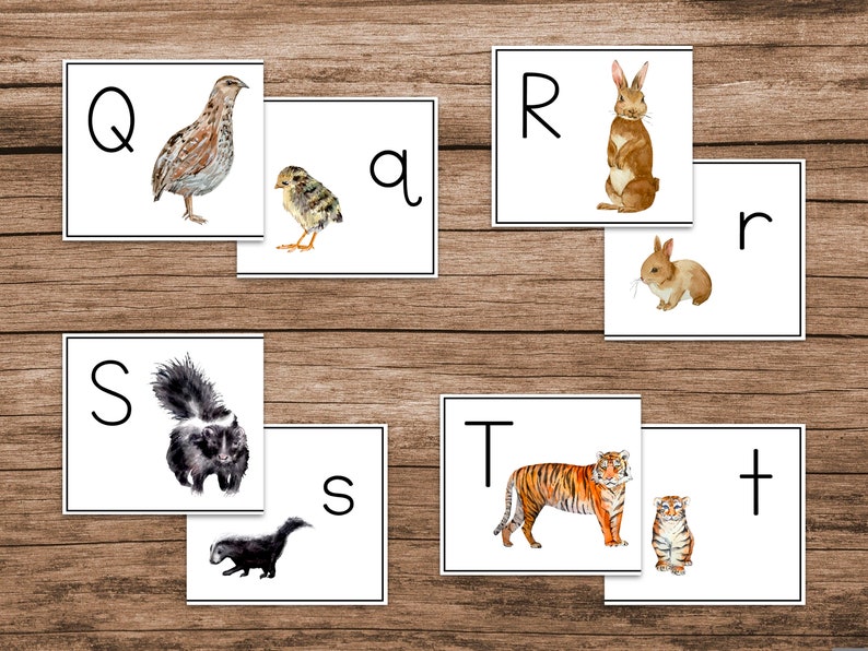 Uppercase-lowercase Alphabet Matching Cards, Mother and Baby Animals ...