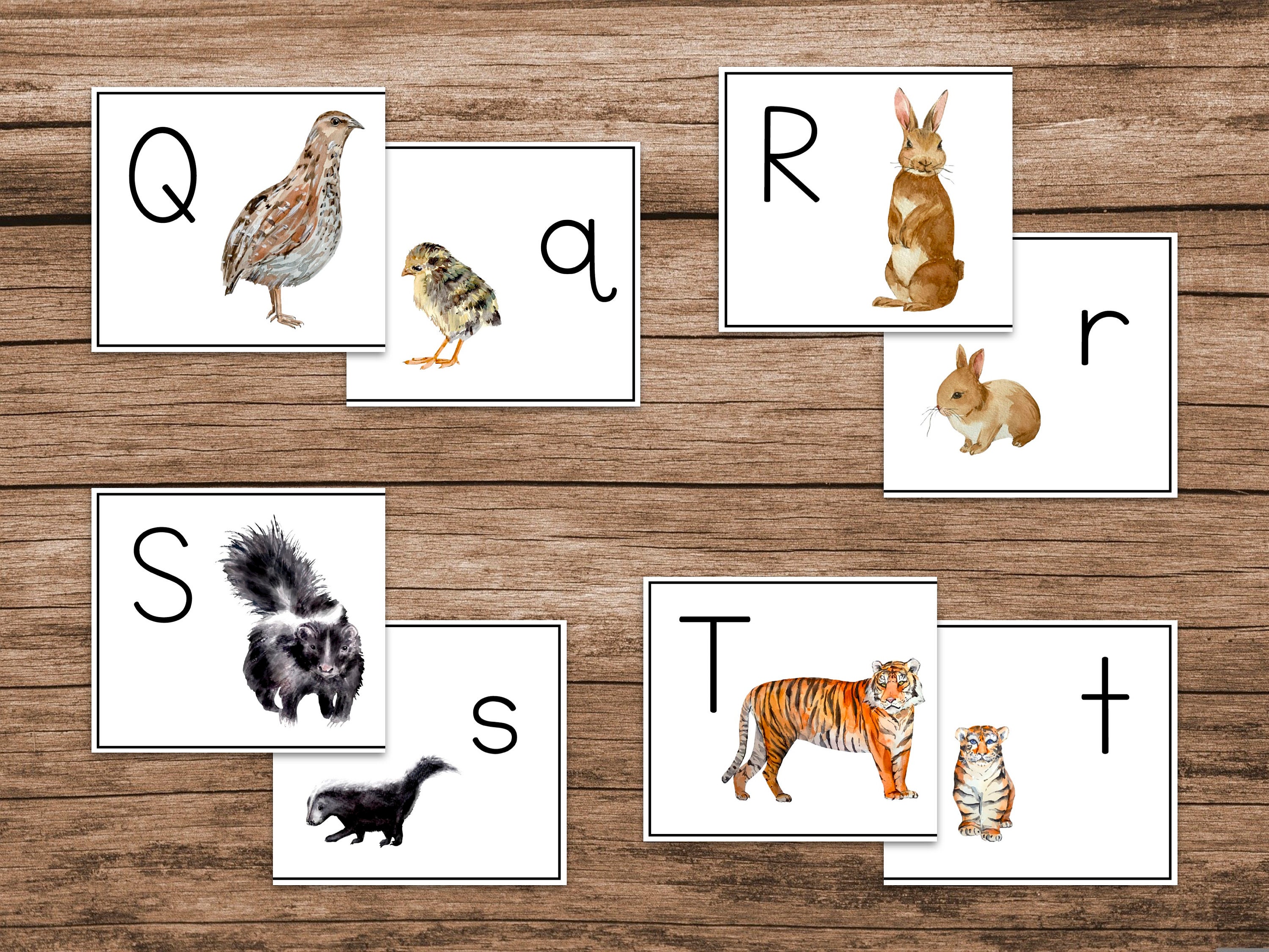 Uppercase-lowercase Alphabet Matching Cards, Mother and Baby Animals ...