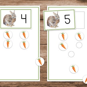 Spring Rabbit Numbers and Counters Activity (montessori Preschool Math ...