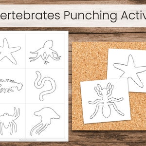 Dotted Punching Shapes Mega Bundle (montessori Fine Motor Printables ...