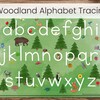 Insect Alphabet Uppercase Lowercase Matching Puzzle Cards, Preschool ...