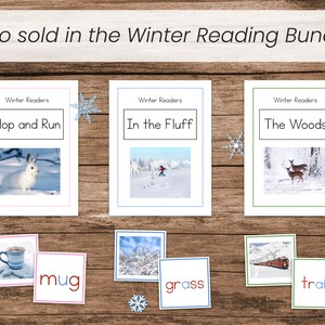 Winter Montessori Green Series Reading Cards (picture and Word Matching ...