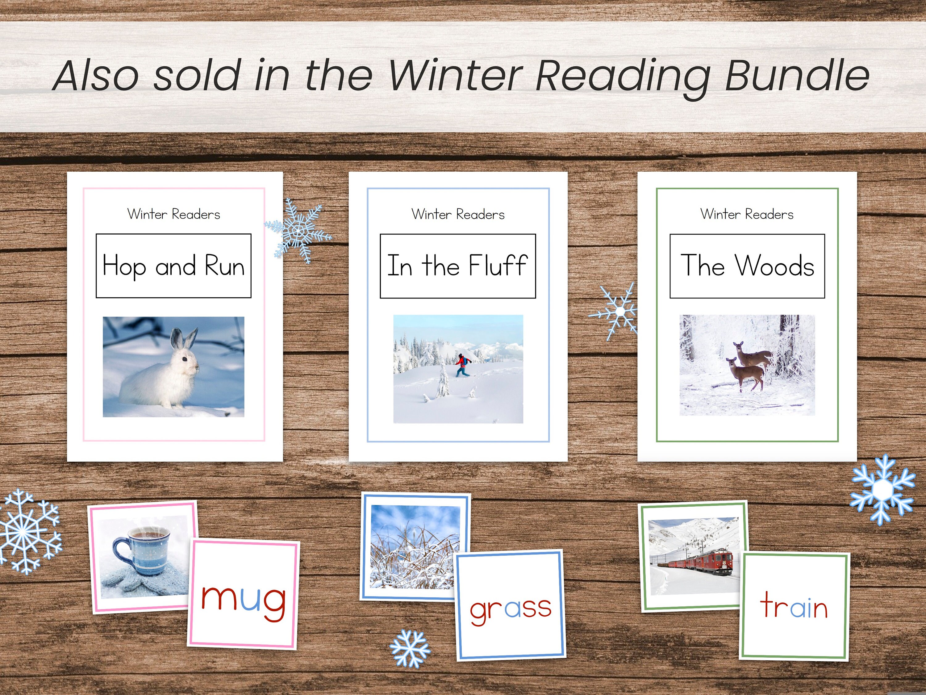 Winter Montessori Blue Series Reading Cards (picture and Word Matching ...