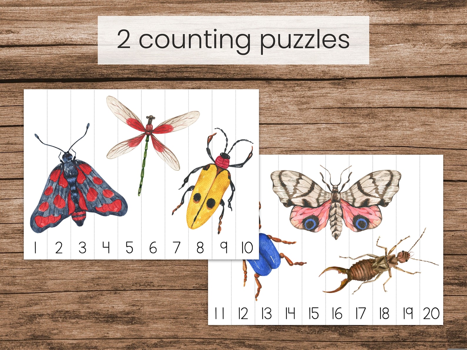 Insects Activity Bundle (montessori Preschool Printable Unit) - Etsy