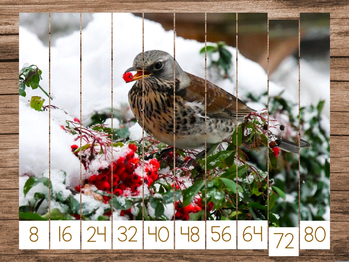 Winter Birds Skip Counting Puzzles montessori Math Printable - Etsy