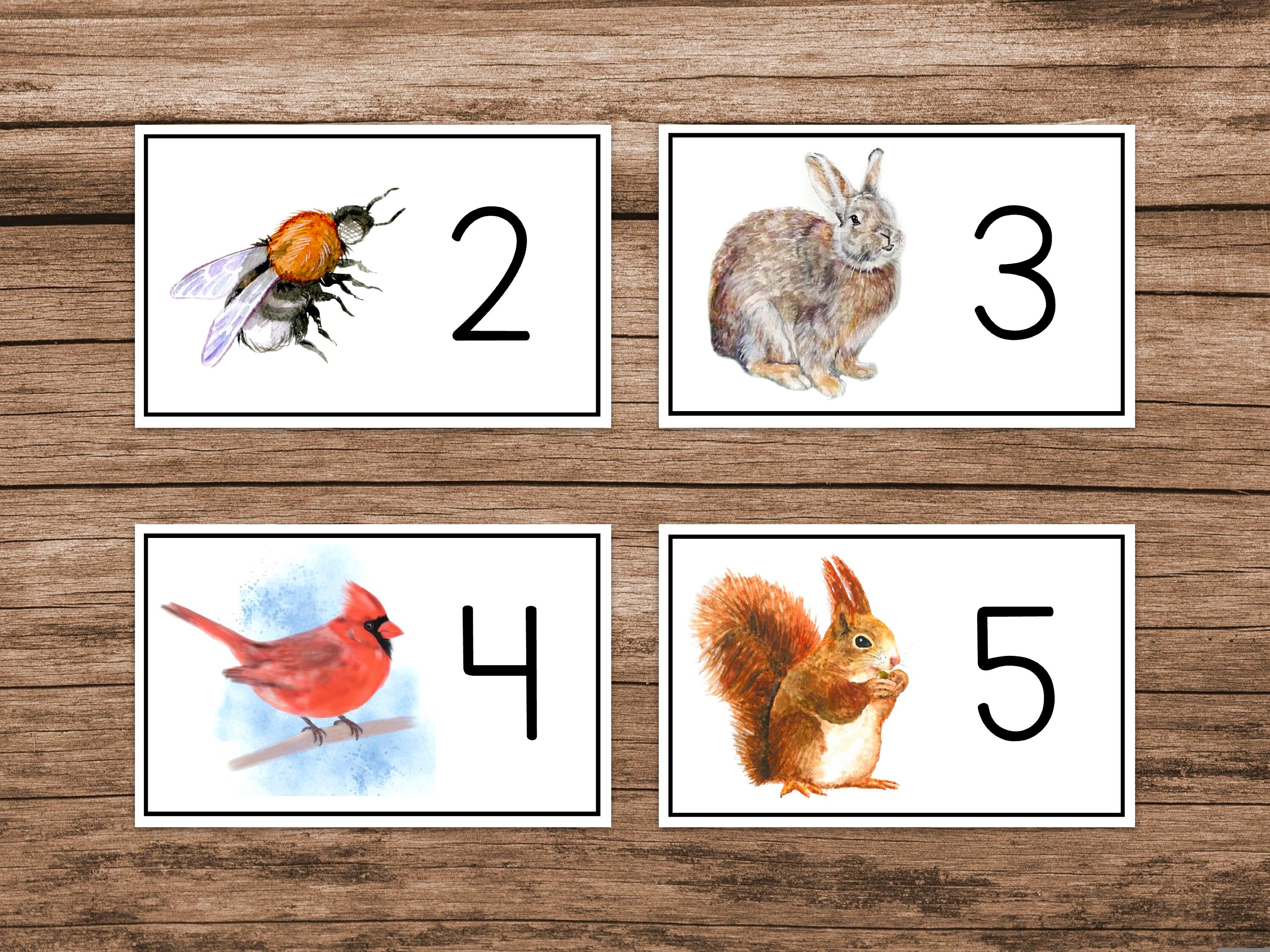 Montessori Numbers and Counters Activity - Four Seasons Bundle - Etsy