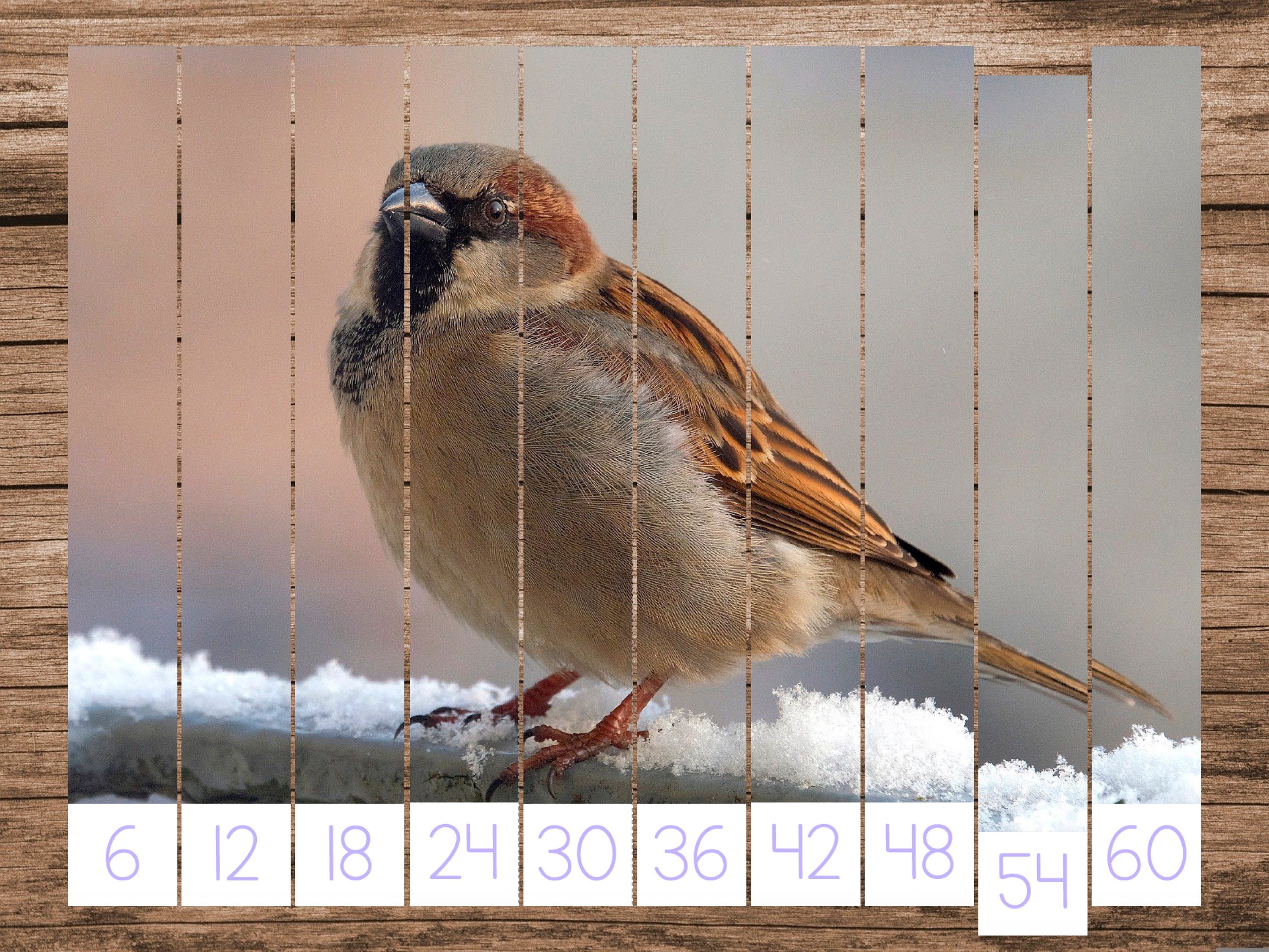 Winter Birds Skip Counting Puzzles montessori Math Printable - Etsy