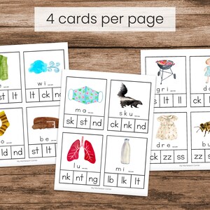 Ending Consonant Blends Clip Cards (montessori Blue Series Language ...