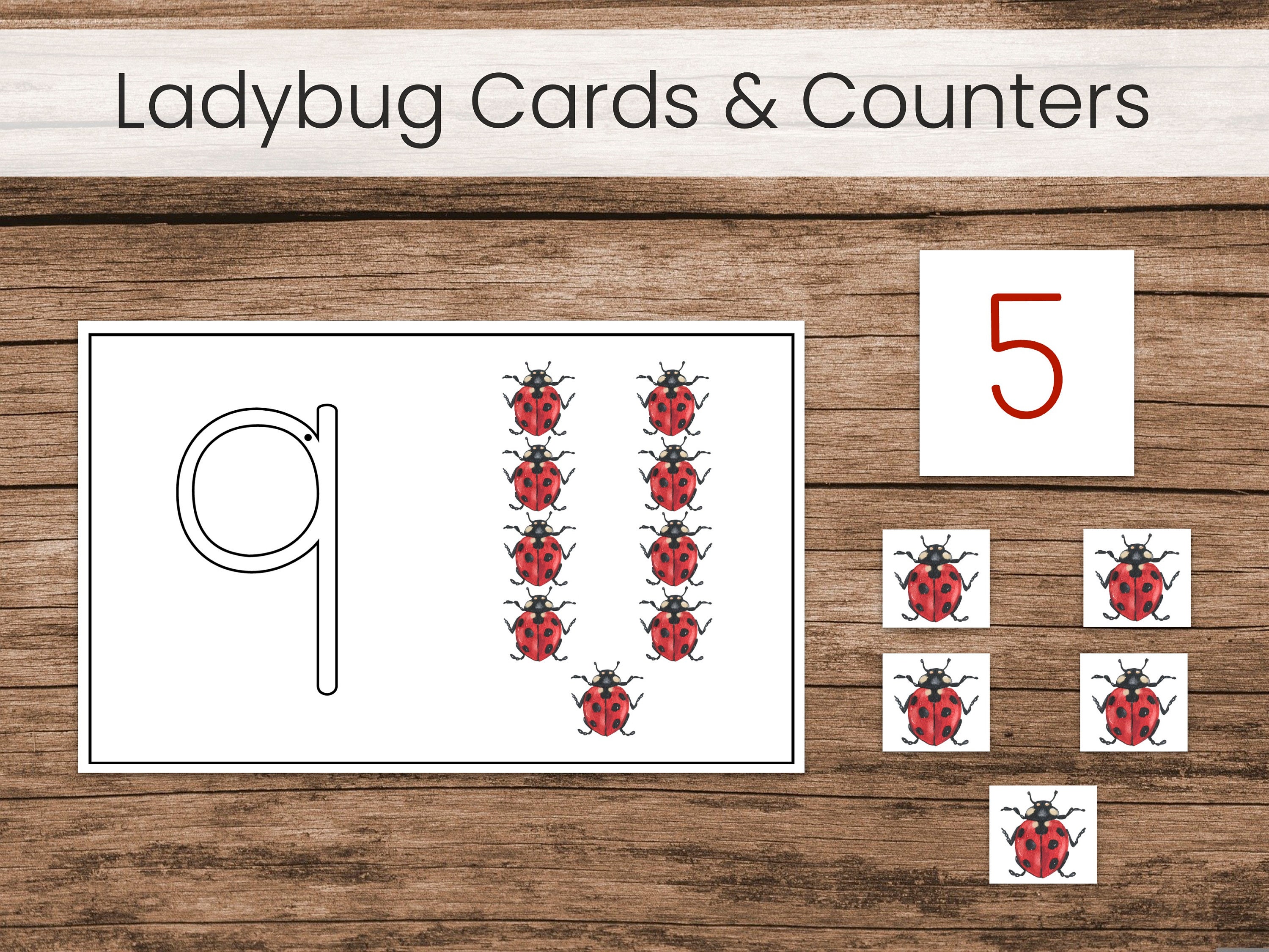 Insects Activity Bundle (montessori Preschool Printable Unit) - Etsy