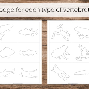 Vertebrates Punching or Tracing Activity (montessori Fine Motor ...
