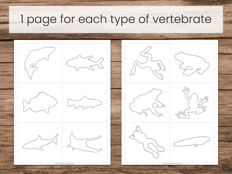 Vertebrates Punching or Tracing Activity (montessori Fine Motor ...