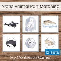 Arctic Animals Flashcards for Toddlers | Polar Animals Printable ...