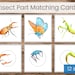 Insects Activity Bundle montessori Preschool Printable Unit - Etsy