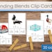 Montessori Phonics Clip Cards Bundle pink, Blue and Green Series ...