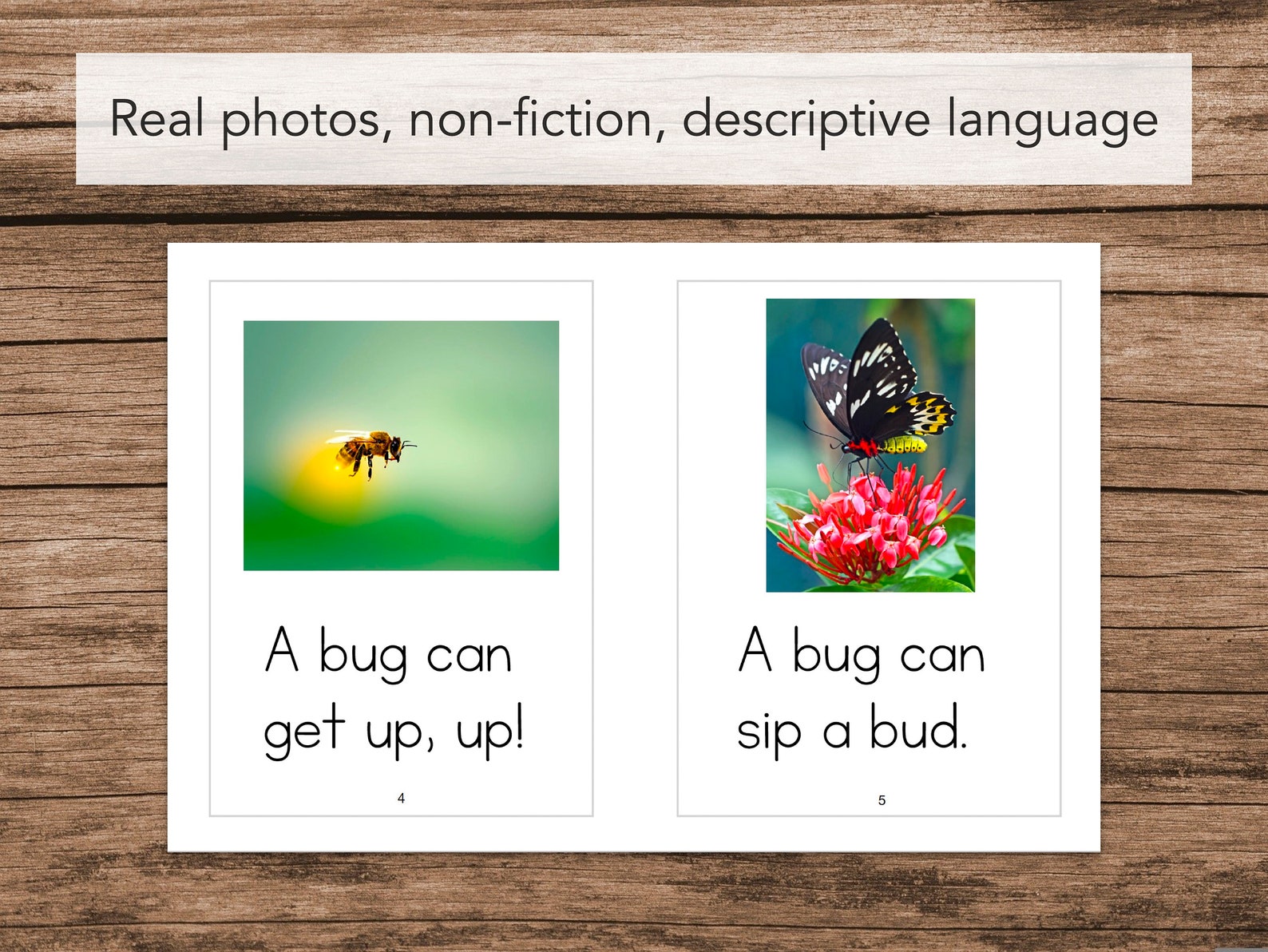 Montessori Pink Series Readers Set 2 decodable CVC Phonetic - Etsy