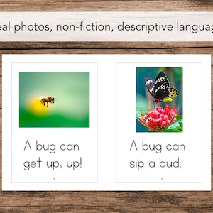 Montessori Pink Series Readers Set 2 (decodable CVC Phonetic Books) - Etsy