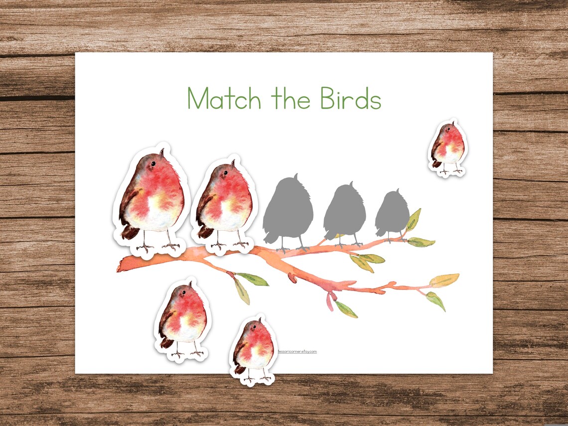 Spring Busy Binder Preschool Matching Activities Printable - Etsy