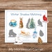 Winter Matching and Sorting Activities (montessori Preschool Binder ...