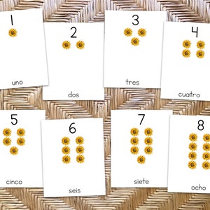 SPANISH 3-part Cards Basics Bundle: Shapes, Colors, Numbers, Nature ...