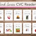 CURSIVE Pink Series CVC Readers (montessori Decodable Reading Books) - Etsy