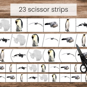 Antarctica Fine Motor Pack (montessori Geography Preschool Printable ...