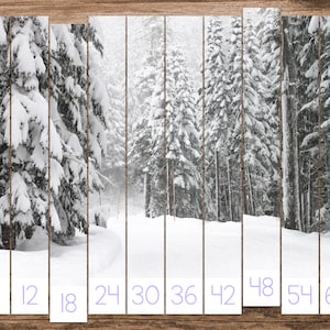 Winter Forest Skip Counting Puzzles (montessori Math Printable) - Etsy