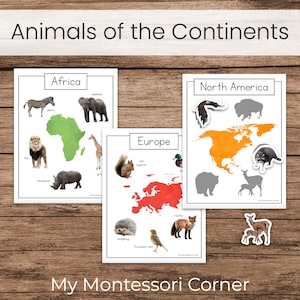 Montessori World Continents Preschool Geography Bundle - Etsy