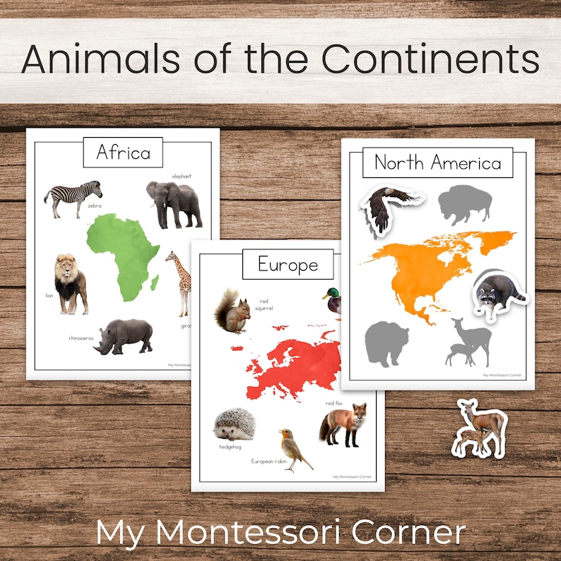 Montessori World Continents Preschool Geography Bundle - Etsy