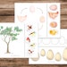 Spring Cut and Paste Activity Pack (preschool Fine Motor Printables) - Etsy