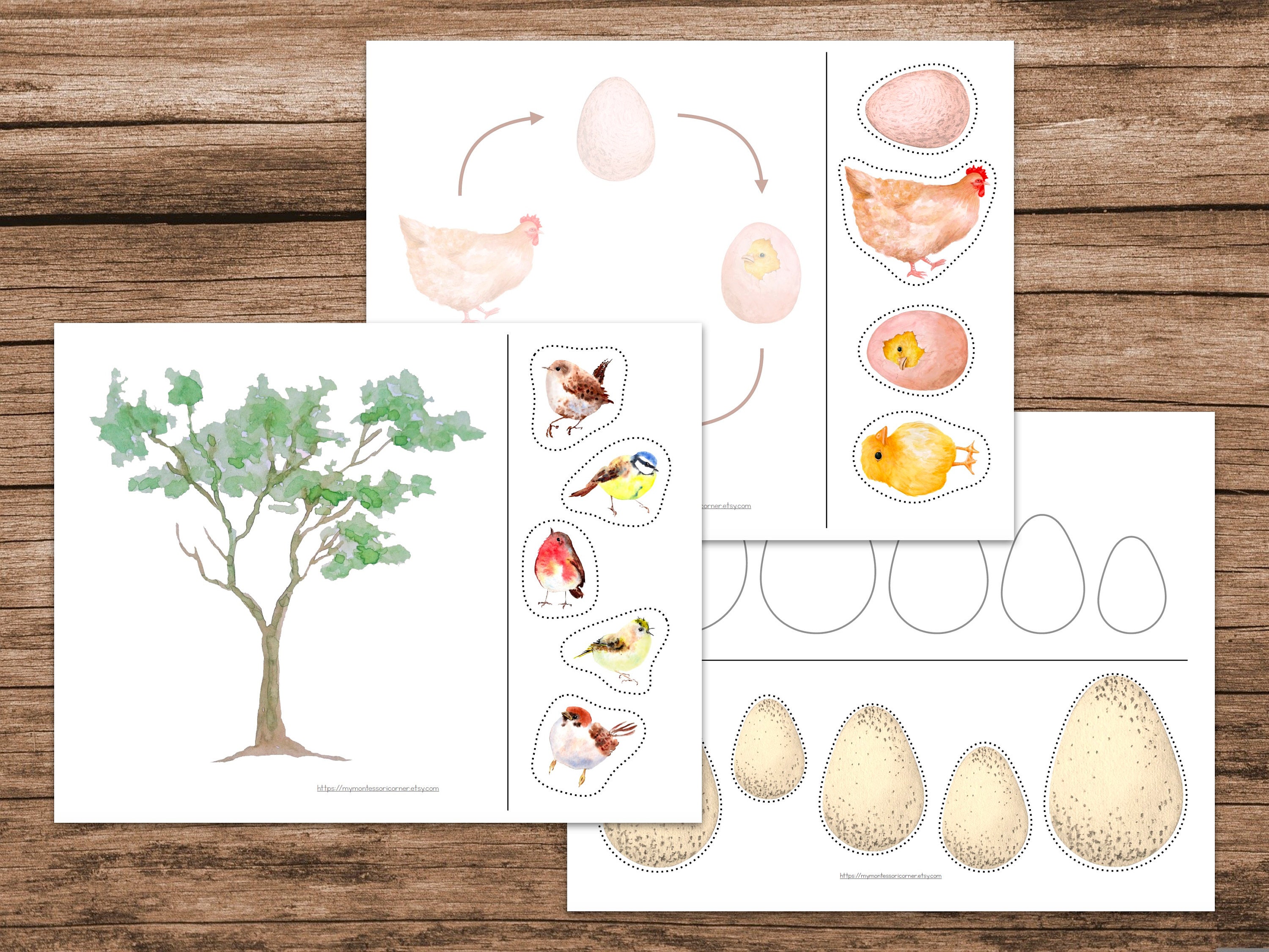 Spring Cut and Paste Activity Pack (preschool Fine Motor Printables) - Etsy