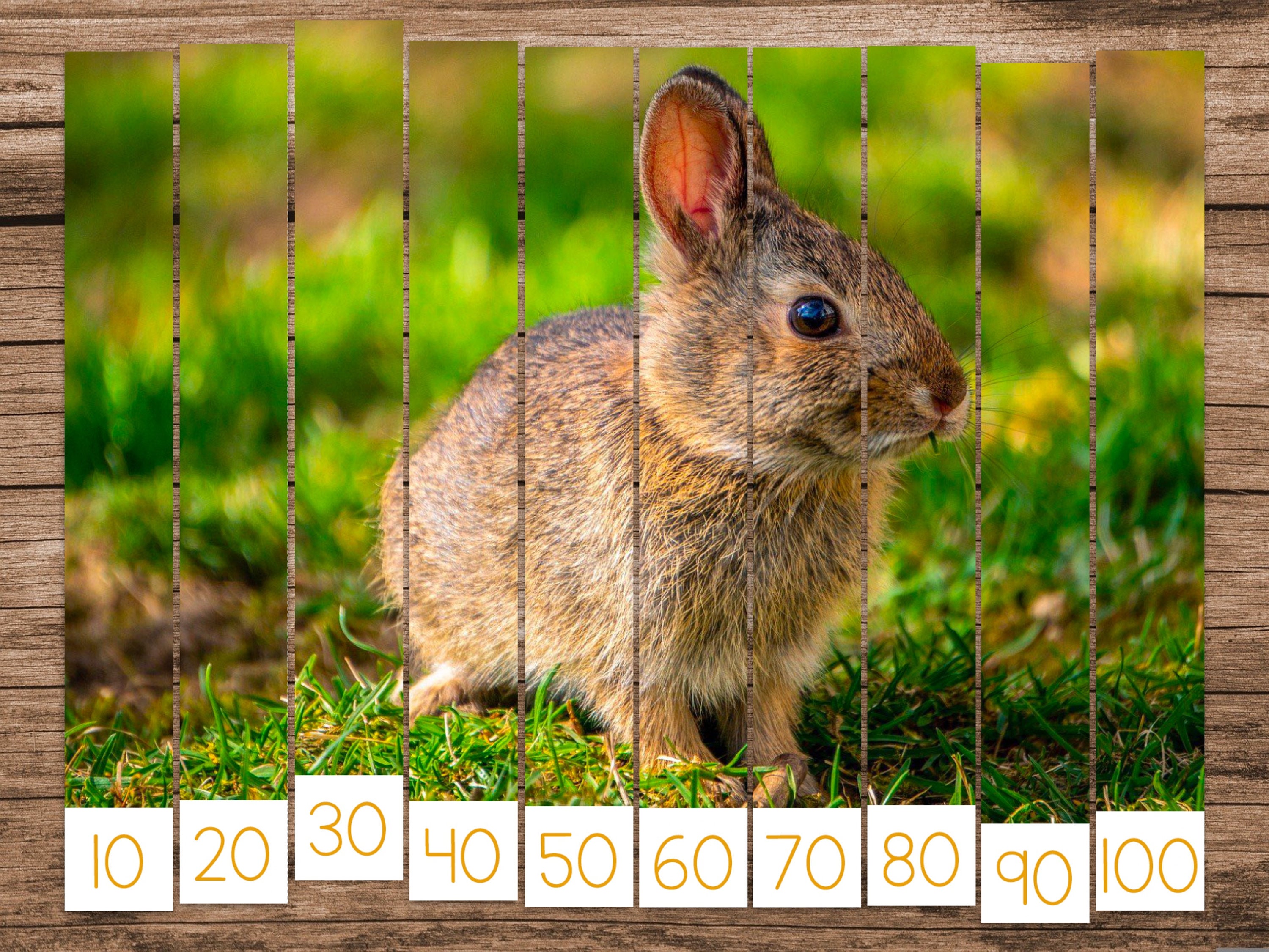 Animal Babies Spring Skip Counting Puzzles (montessori Math Printable ...