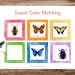 Insects Match and Sort (preschool Printable Binder Activities) - Etsy