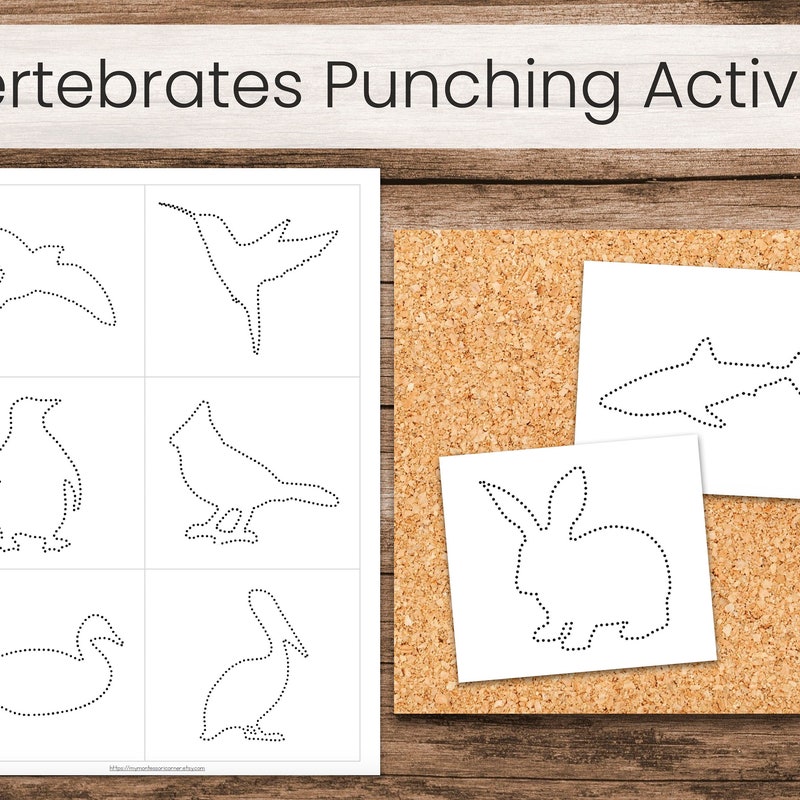 MyMontessoriCorner - Etsy