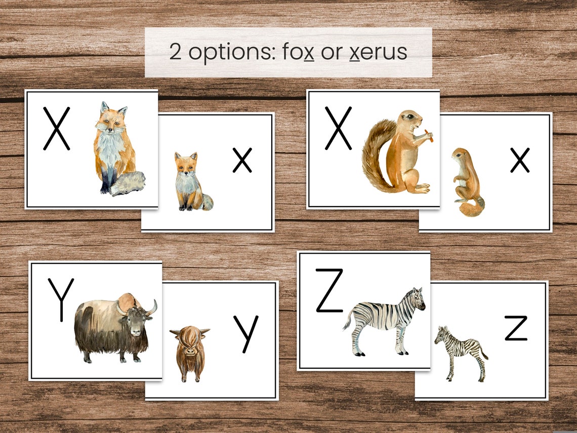 Uppercase-lowercase Alphabet Matching Cards, Mother and Baby Animals ...