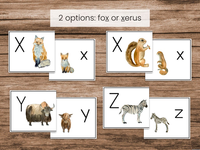 Uppercase-lowercase Alphabet Matching Cards, Mother and Baby Animals ...