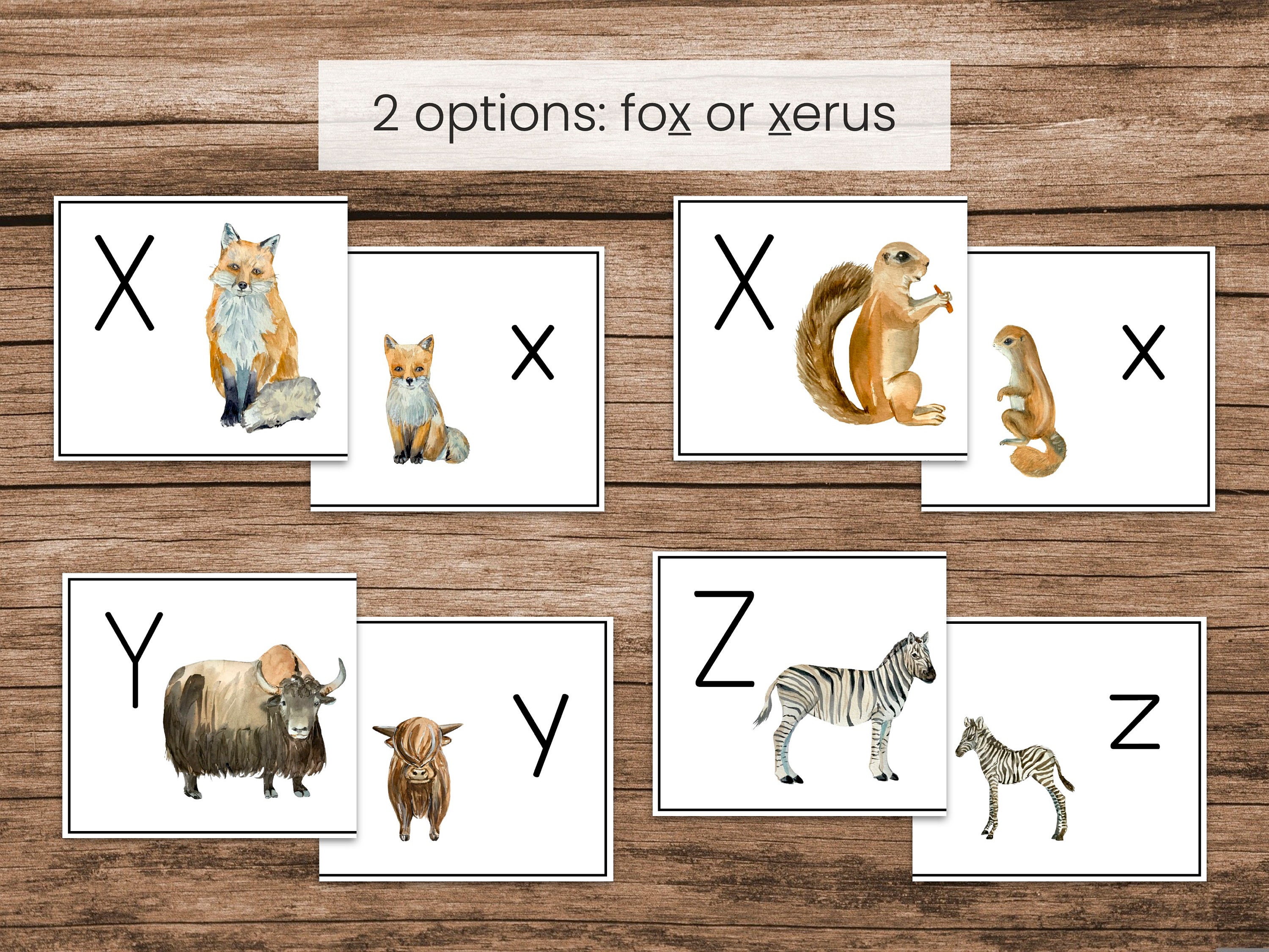 Uppercase-lowercase Alphabet Matching Cards, Mother and Baby Animals ...