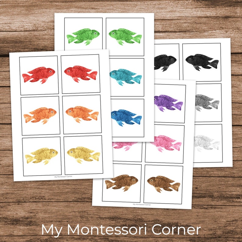 Summer Ocean Fish Color Matching Cards, Montessori Preschool and ...