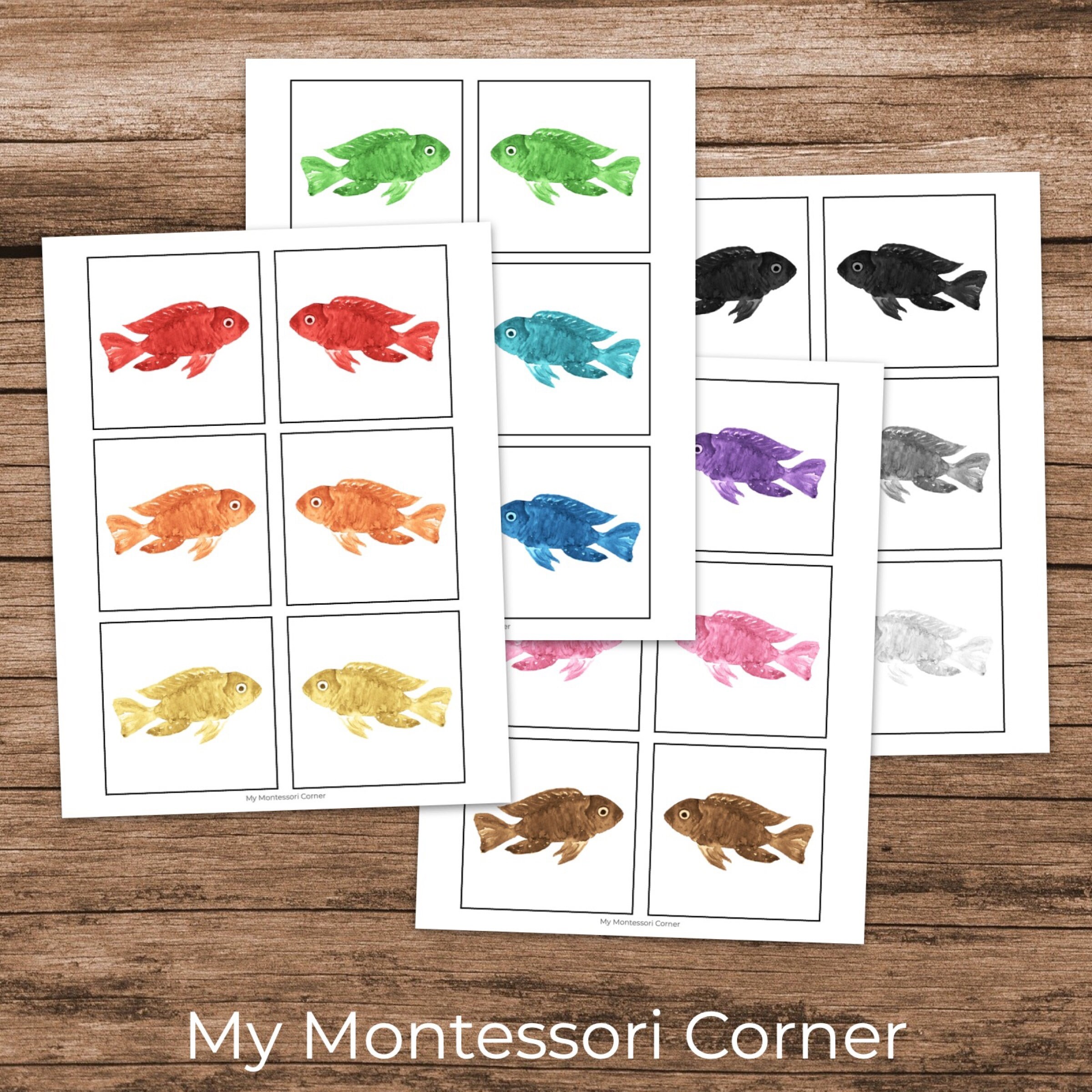 Summer Ocean Fish Color Matching Cards, Montessori Preschool and ...