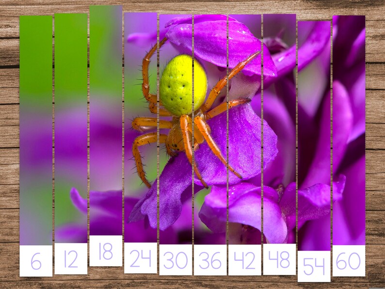 Summer Skip Counting Puzzles Insects and Minibeasts montessori Math ...